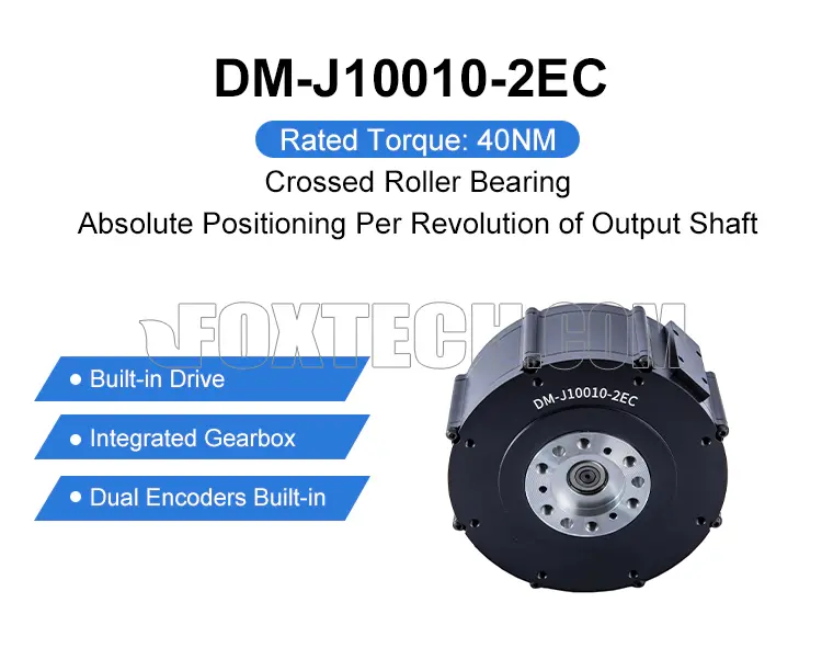 DM-J10010-2EC (48V) MIT-Driven Brushless Servo Joint Motor with Dual ...